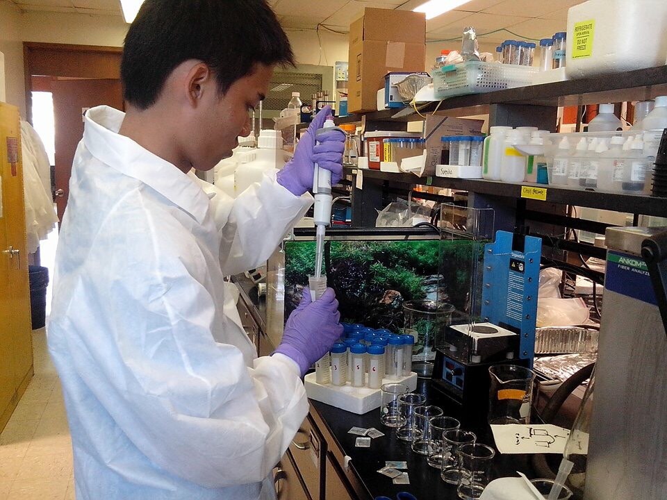 Wells International School - Primary & Secondary Curriculum ...