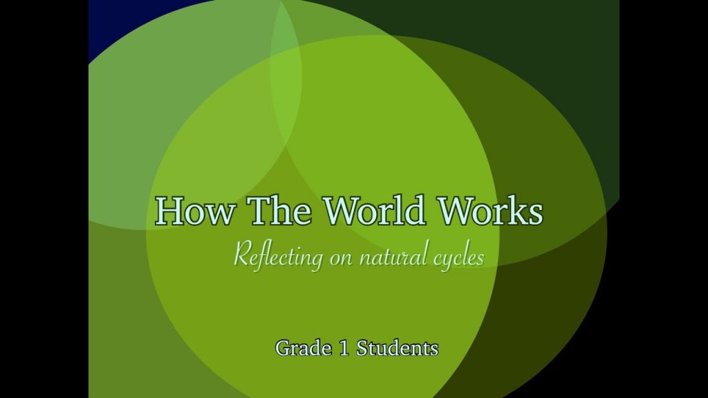 Reflection in Grade 1 | International School Bangkok | American ...