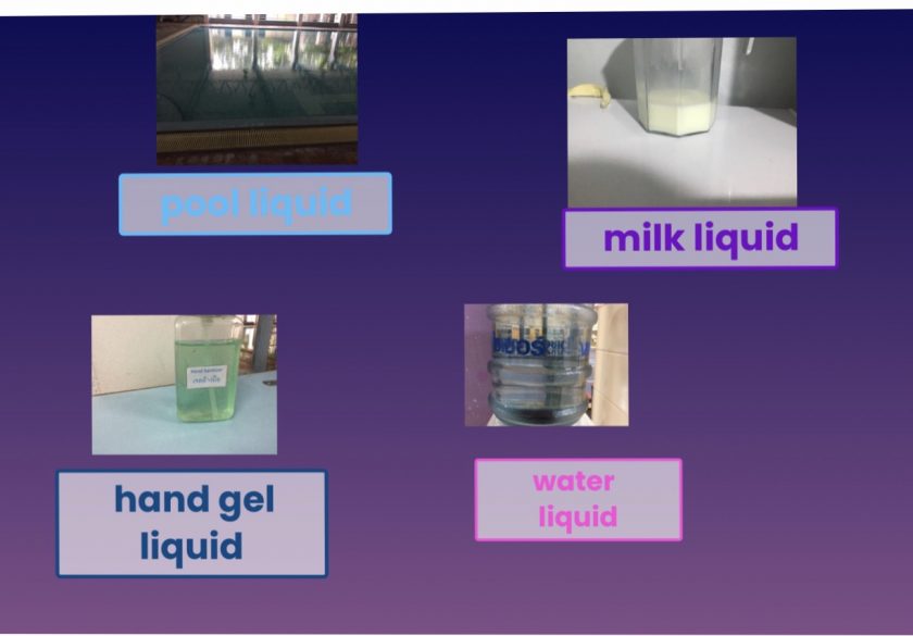 Grade 1 Science Lesson | International School Bangkok | American ...