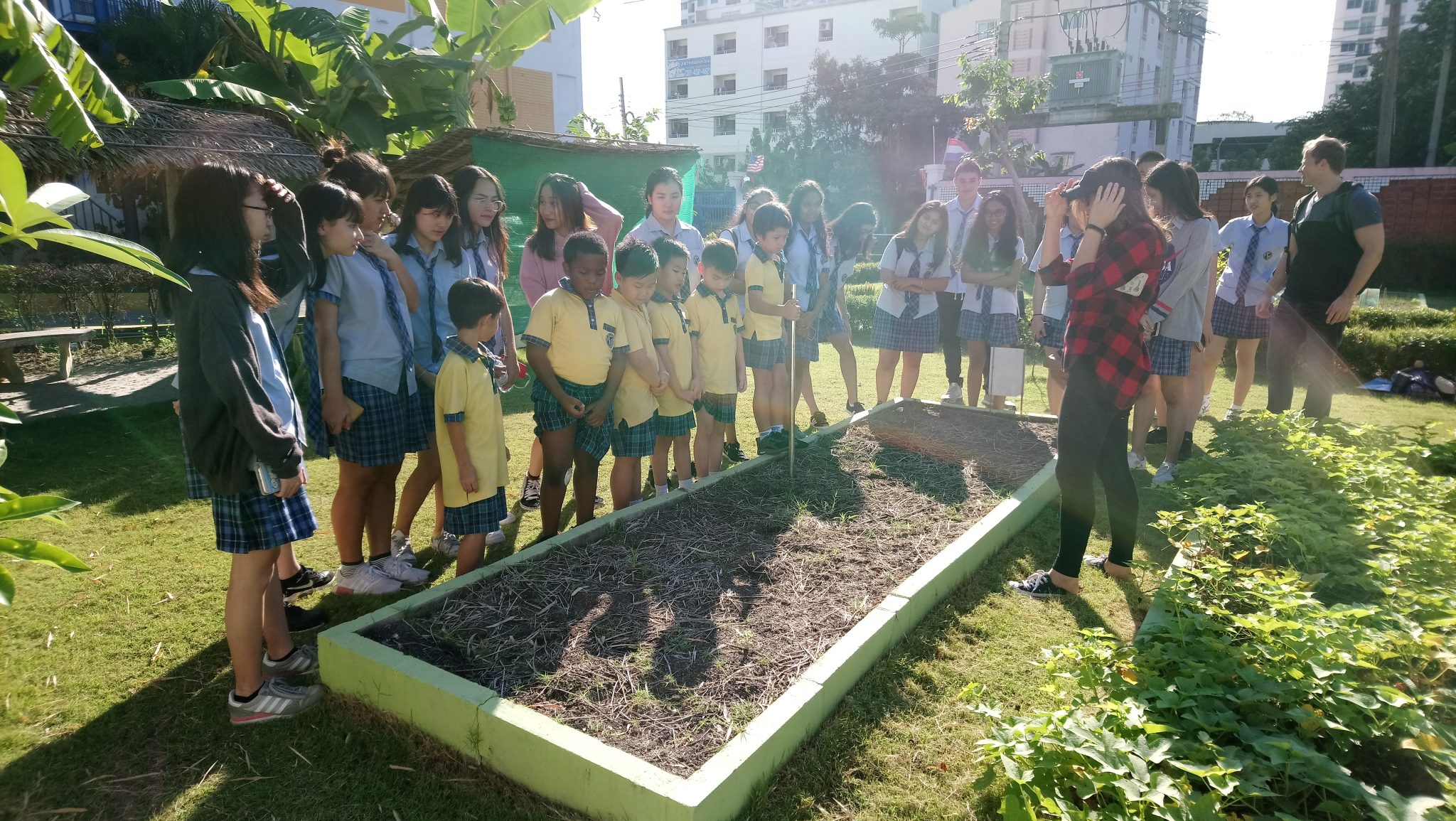 Celebrating 10 Years as an IB World School | International School ...