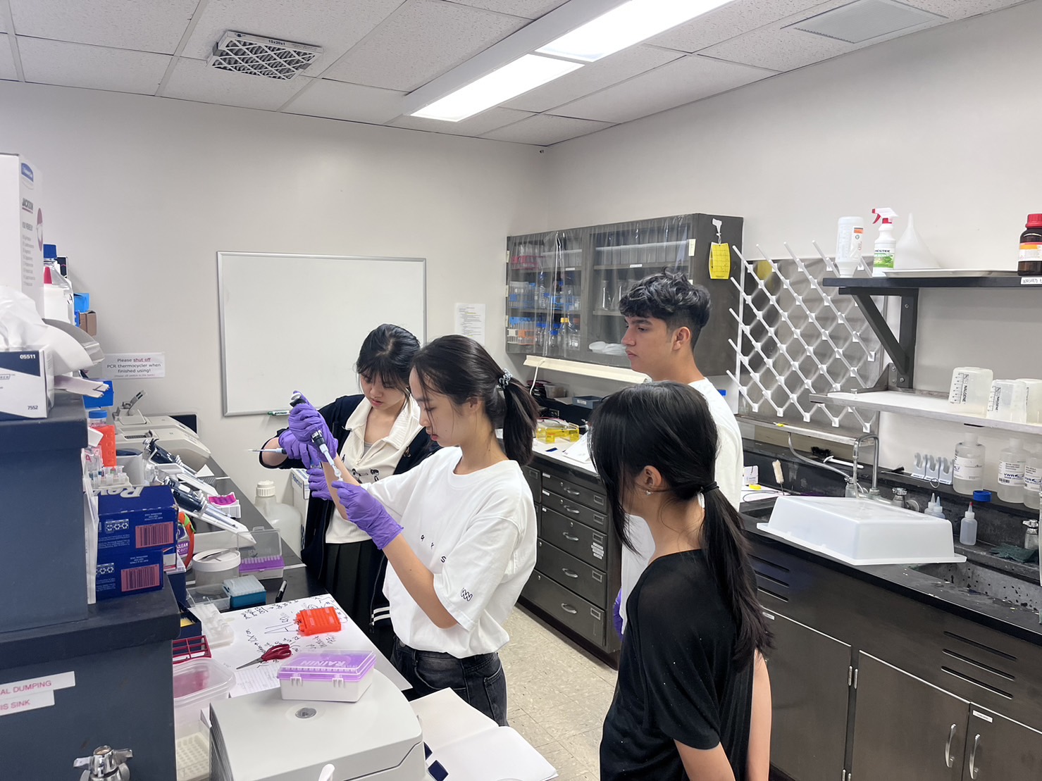 University Of Hawaii Summer Science Program International School Bangkok American