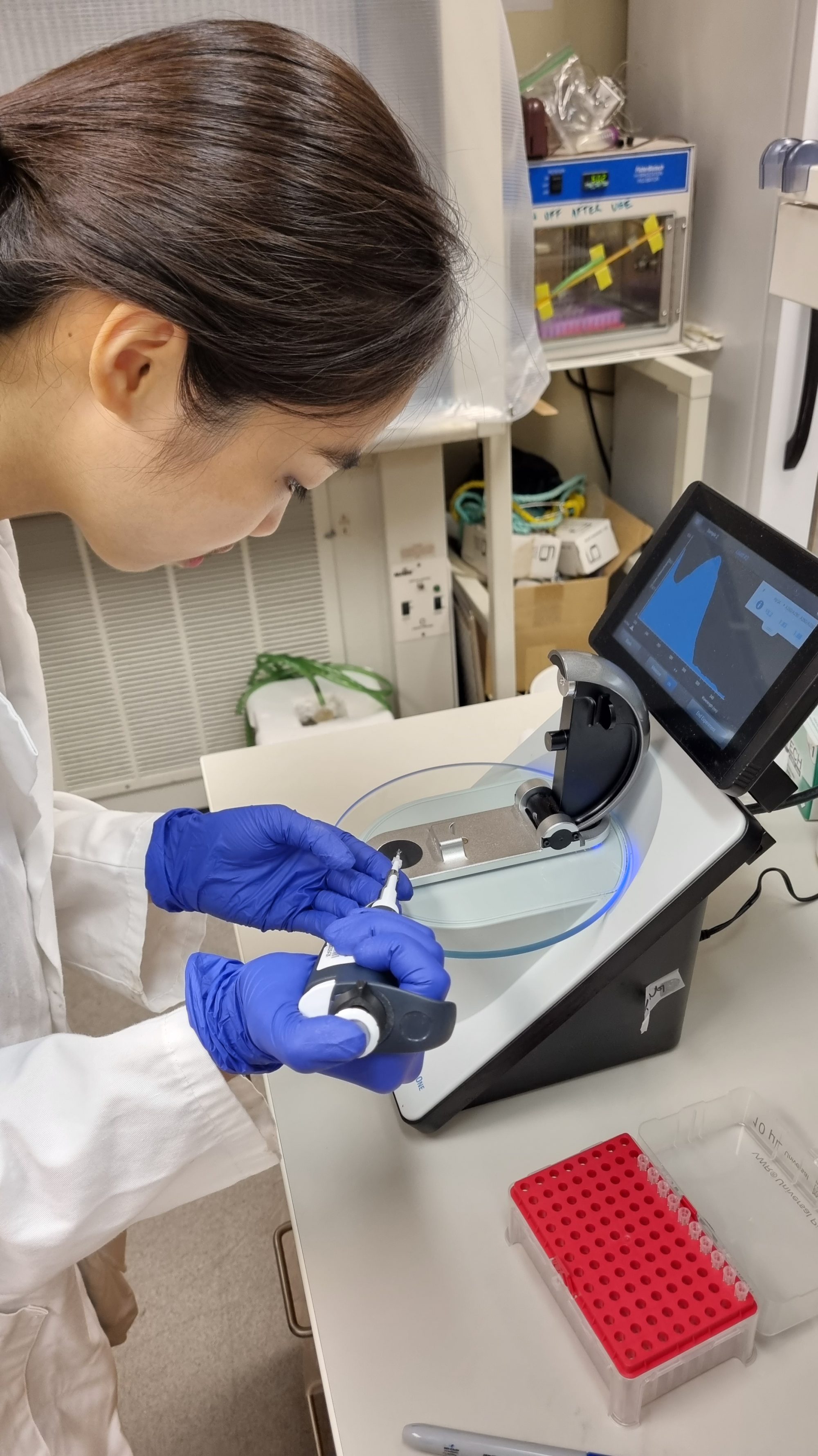 University Of Hawaii Summer Science Program International School Bangkok American